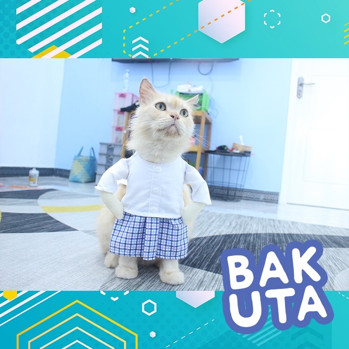 Jual Kostum baju koko lebaran untuk kucing / Baju kucing size S-XL ...