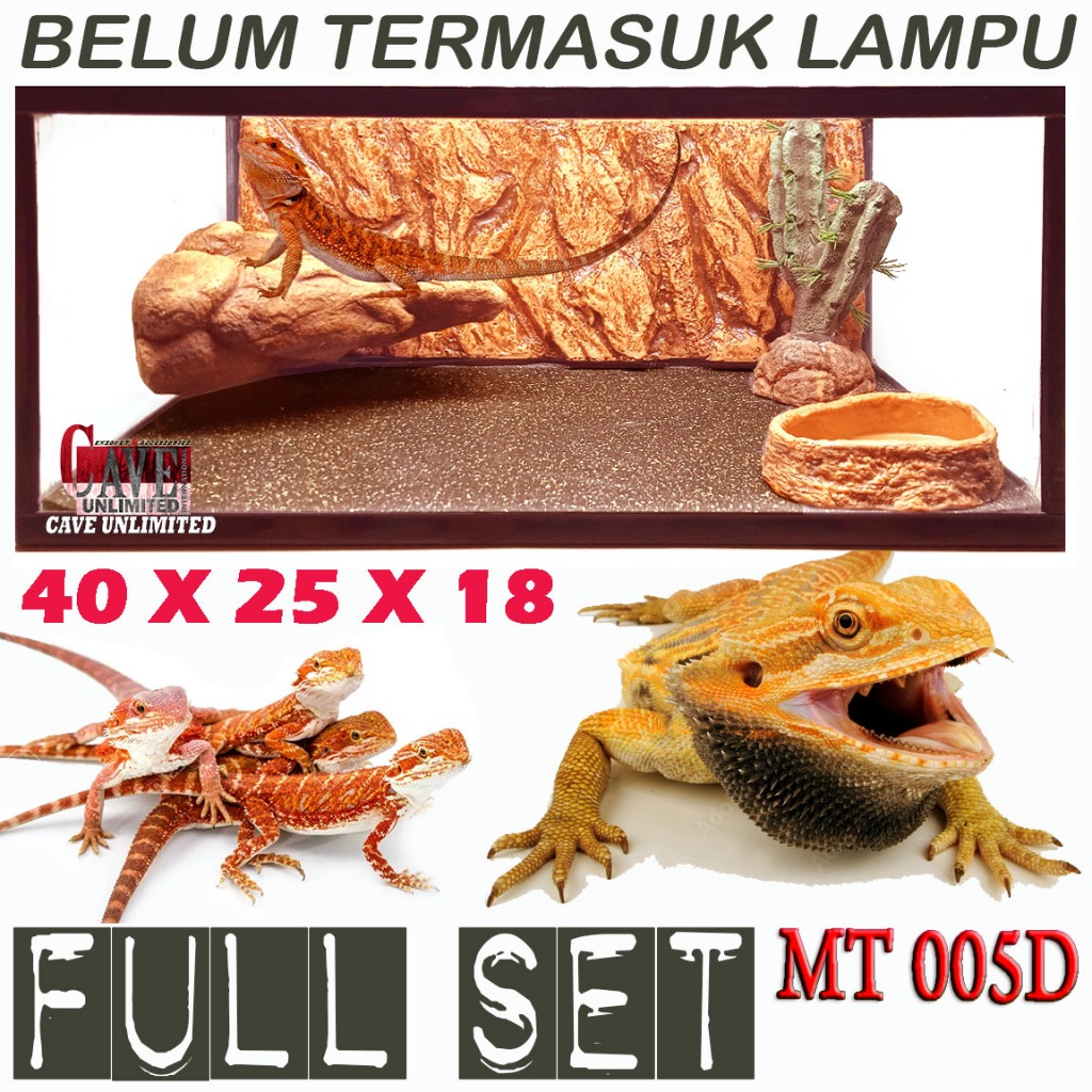 Jual MT005D PAKET KANDANG TERRARIUM BEARDED DRAGON KADAL DURI BD NAGA BERJENGGOT LIZARD GEX L ...