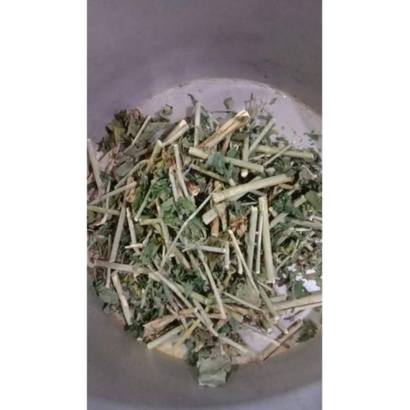 Jual Daun Dandang Gulo Gendis Kering 100 Gram Obat Herbal Diabetes ...