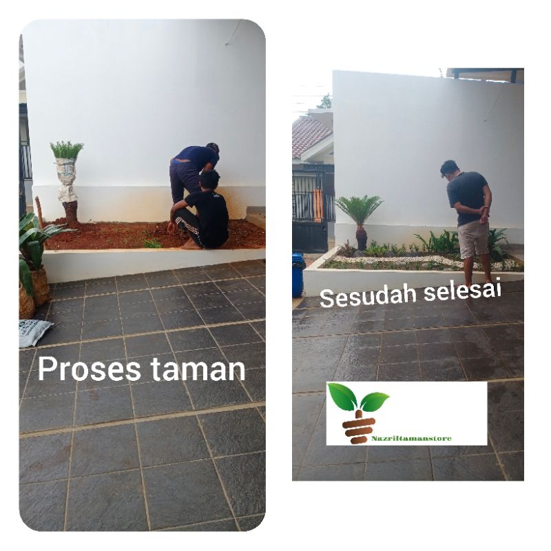 Jual Taman minimalis cibubur / Pasang taman cibubur | Shopee Indonesia