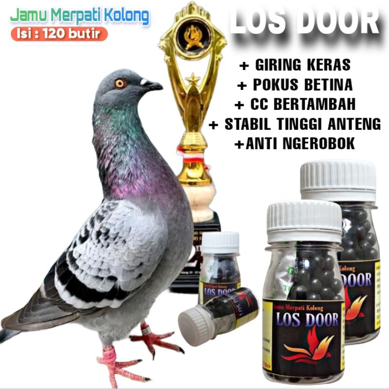 Jual JAMU MERPATI KOLONG LOS DOOR 120 PIL raja terbang stut door pil ...