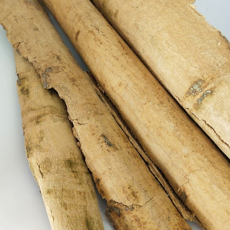 Jual KULIT KAYU PULE KERING/PULAI/OBAT HERBAL 1000gr | Shopee Indonesia