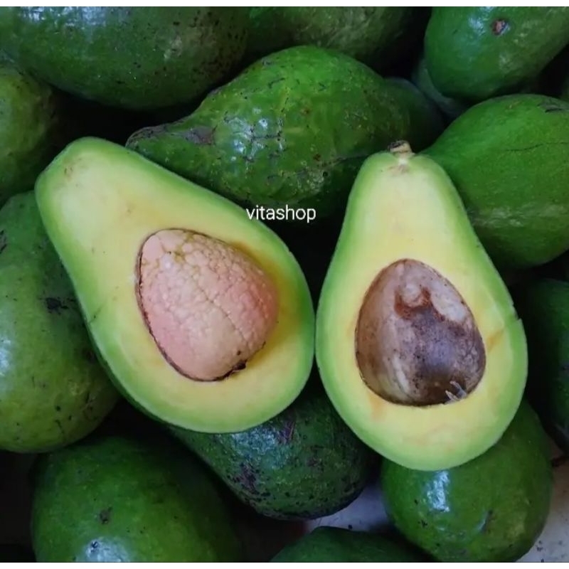 Jual BUAH ALPUKAT 1kg | Shopee Indonesia