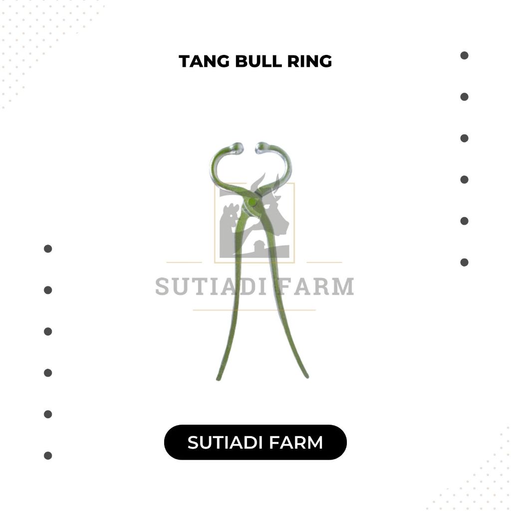 Jual Tang Bull Ring Tang Penjepit Hidung Sapi Lembu Kerbau Bulat ...