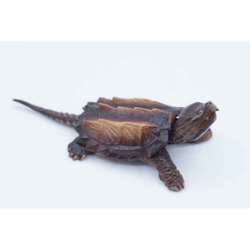 Jual Alligator Snapping Turtle Tortoise Kura Pajangan Koleksi Figure ...