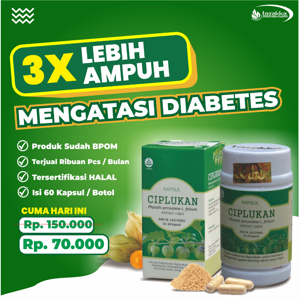 Jual Obat Diabetes Herbal Ampuh Kapsul Ciplukan isi 60 Kapsul Halal dan ...