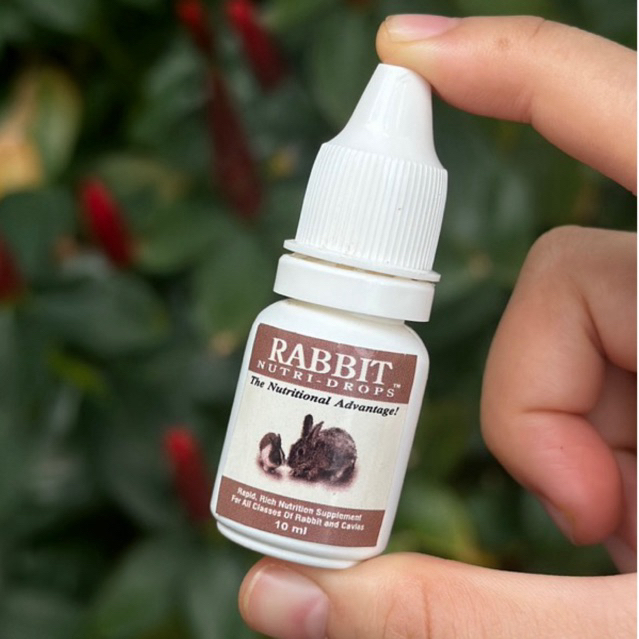 Jual Nutri Drops Rabbit 10ml Vitamin Supplemen Oral Penambah Nafsu ...