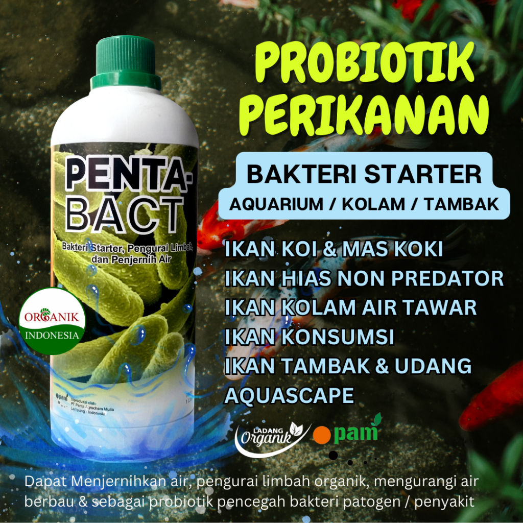 Jual Probiotik Perikanan Ikan Lele Nila Gurame Koi / Ikan Budidaya ...