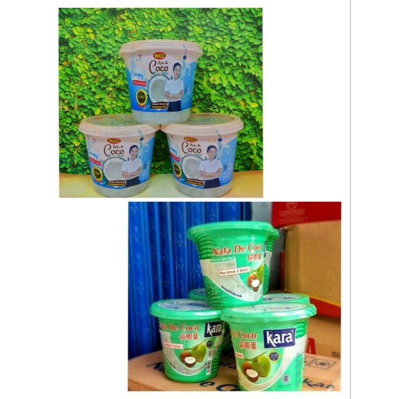 Jual Nata Decoco 1L Ember | Shopee Indonesia