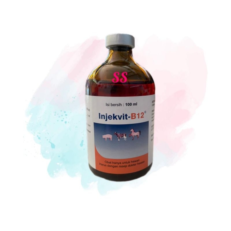 Jual Obat Suntik Vitamin B12 Injekvit B12 (100ml) | Shopee Indonesia