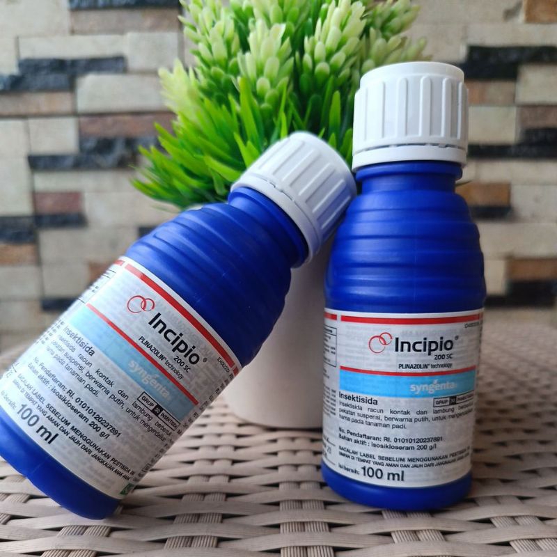 Jual insektisida Incipio 200SC 100ml | Shopee Indonesia