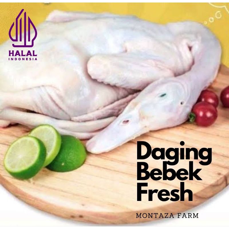Jual Daging bebek Supee utuh bandung Montaza Farm | Shopee Indonesia