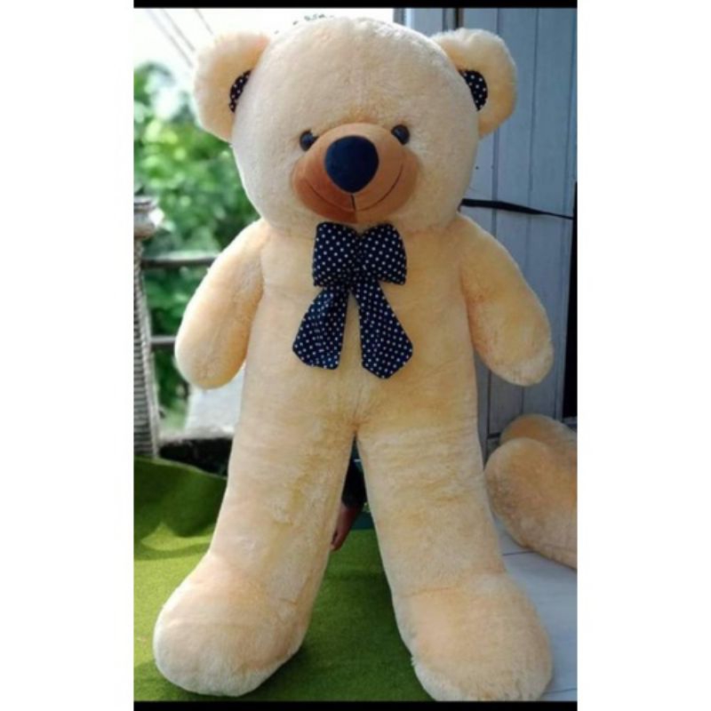 Jual BONEKA TEDDY BEAR BERUANG BESAR 1,6 METER 1.6 M 1 METER 1,2 METER ...