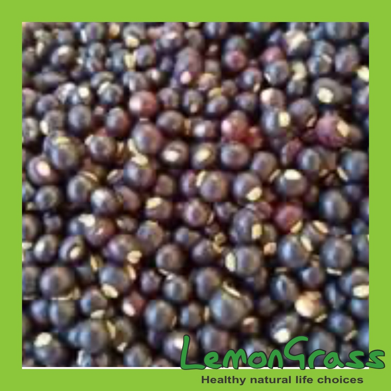 Jual JUKUT UNDIS PER 100 GRAM KIRIM INSTAN | Shopee Indonesia