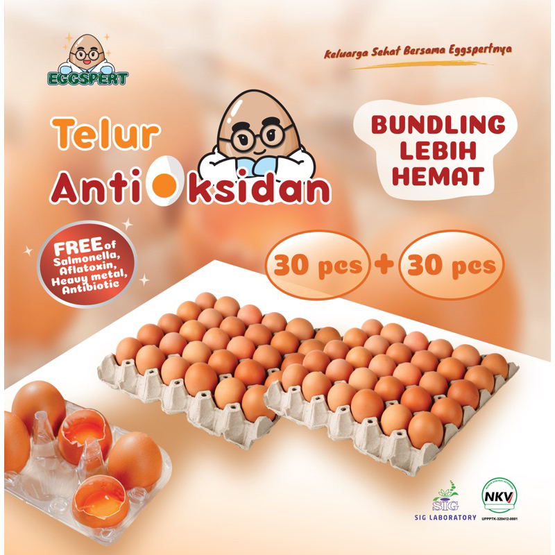 Jual Eggspert Telur Ayam Antioksidan (Organik Selenium) Paket Bundling ...