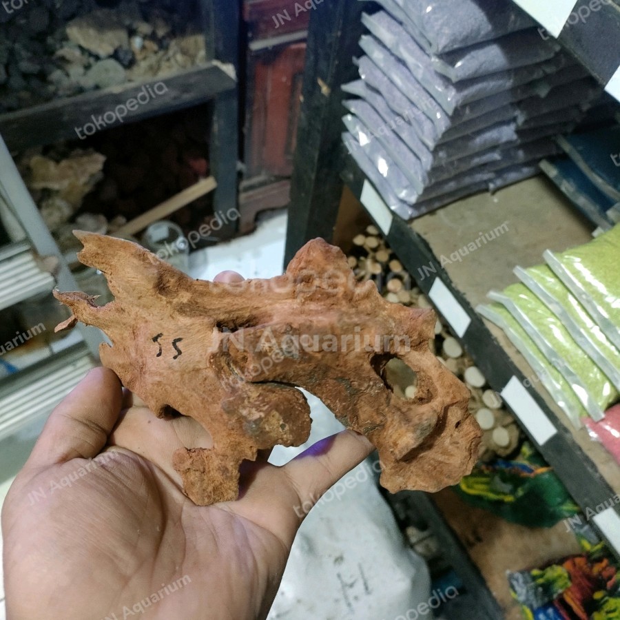 Jual Akar rentek kayu akar Hiasan Aquarium Aquascape uk. s.s mini ...