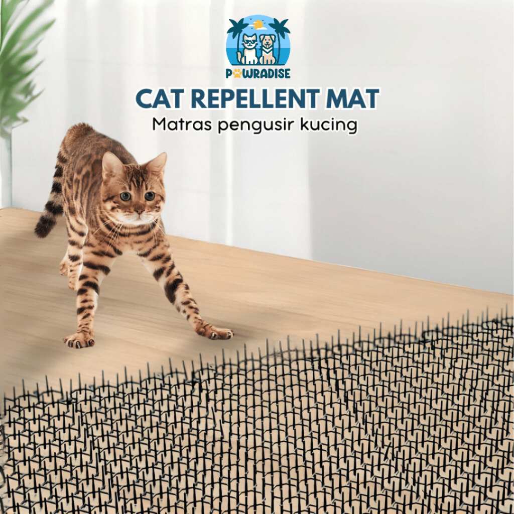 Jual Matras Pengusir Kucing - Cat Repellent Mat - Matras Paku / Duri ...