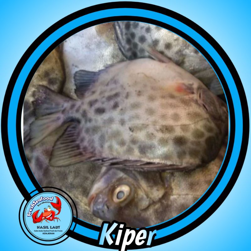 Jual IKAN KIPER SEGAR 1 KG | Shopee Indonesia