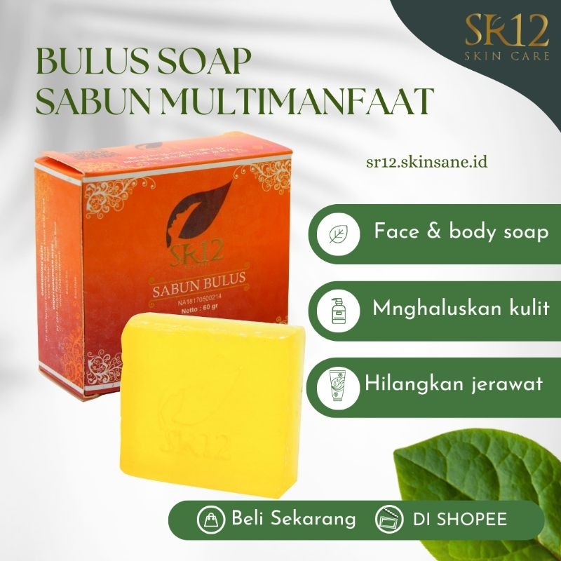 Jual Herbal Soap SR12 - Sabun Bulus Herbal - Sabun Serbaguna - Cocok ...