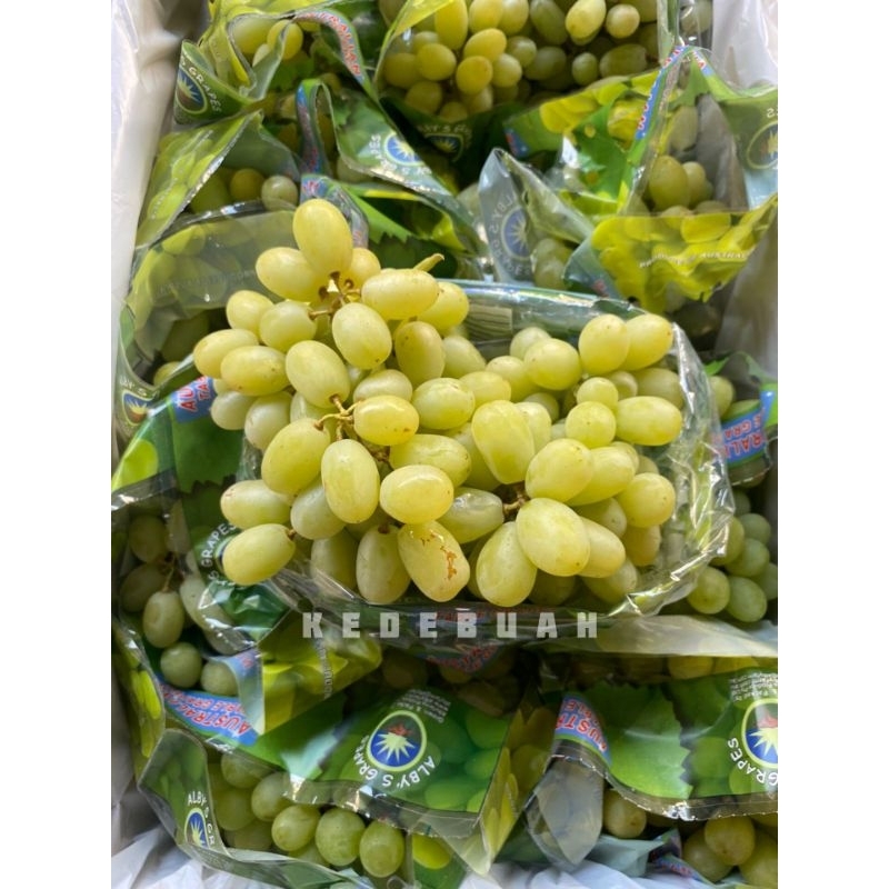 Jual Anggur Green Thompson Australian Seedless (Buy 1kg Get 1kg ...