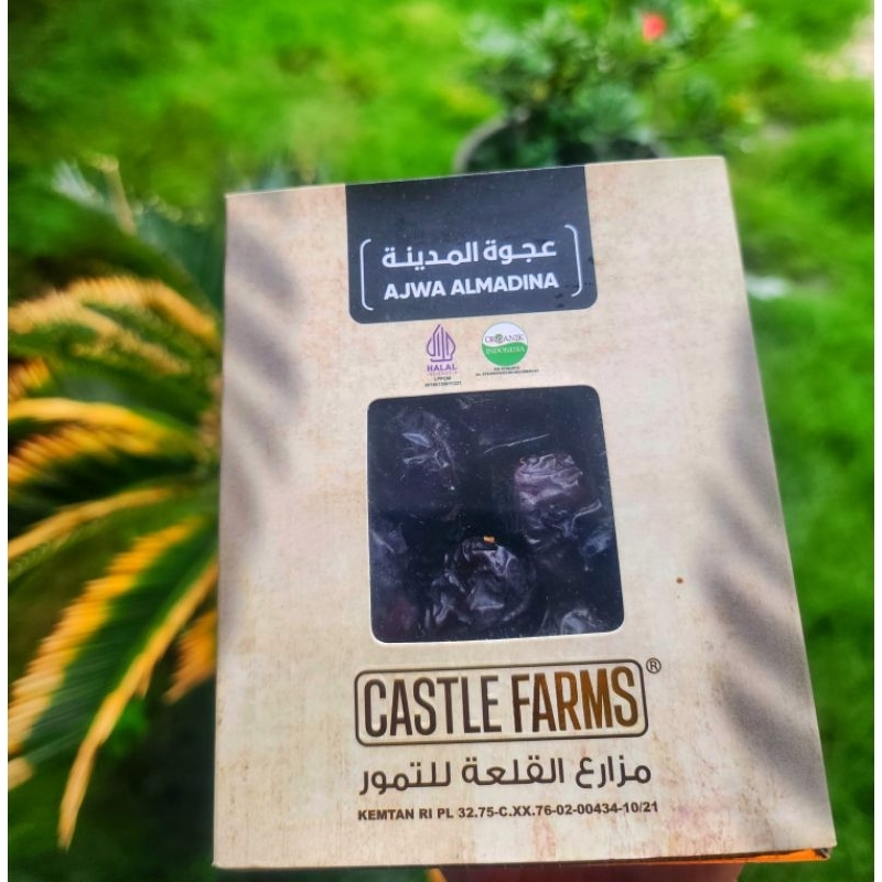 Jual Ajwa Al Madinah Castle Farms Organik Premium High Quality 250gr ...