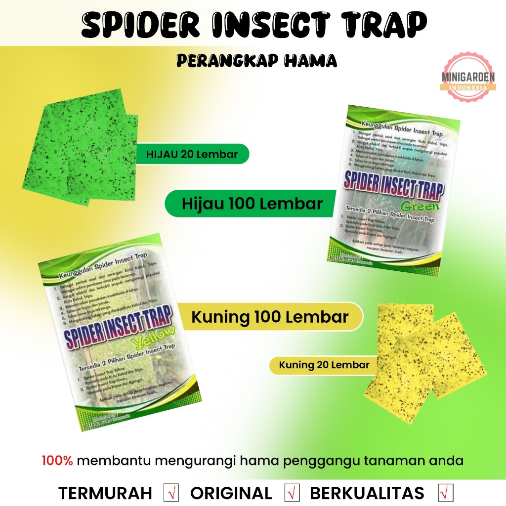 Jual SPIDER INSECT TRAP 20 LEMBAR perangkap hama pertanian kutu kebul ...
