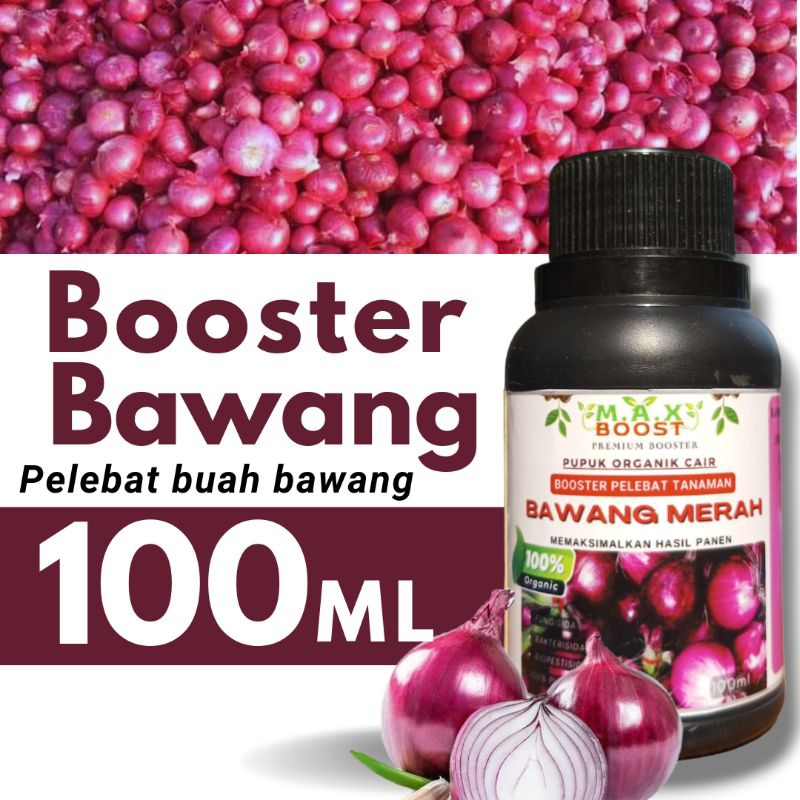 Jual Pupuk organik cair BAWANG, Bawang merah bawang Bombay bawang putih, booster bawang ...