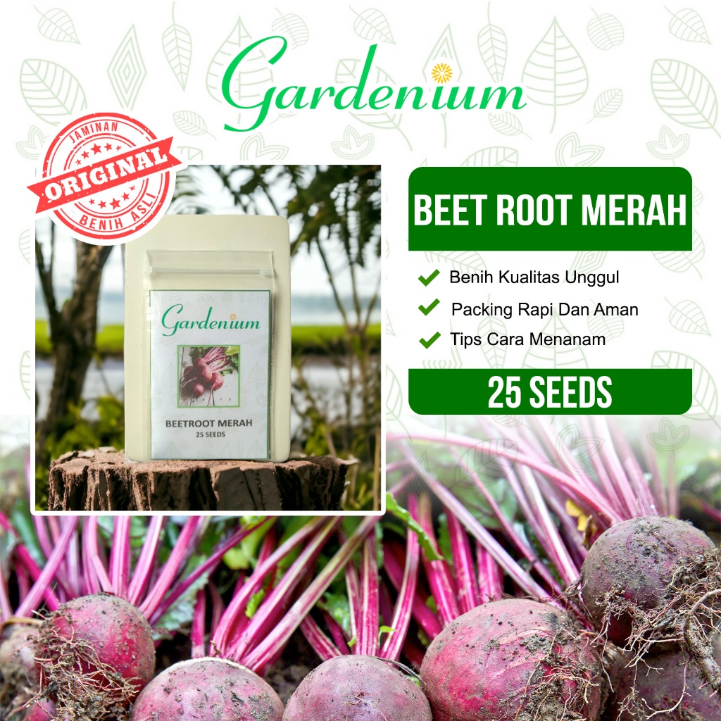 Jual GARDENIUM Benih Beetroot Merah Tananam Buah Bit Unggul | Shopee ...