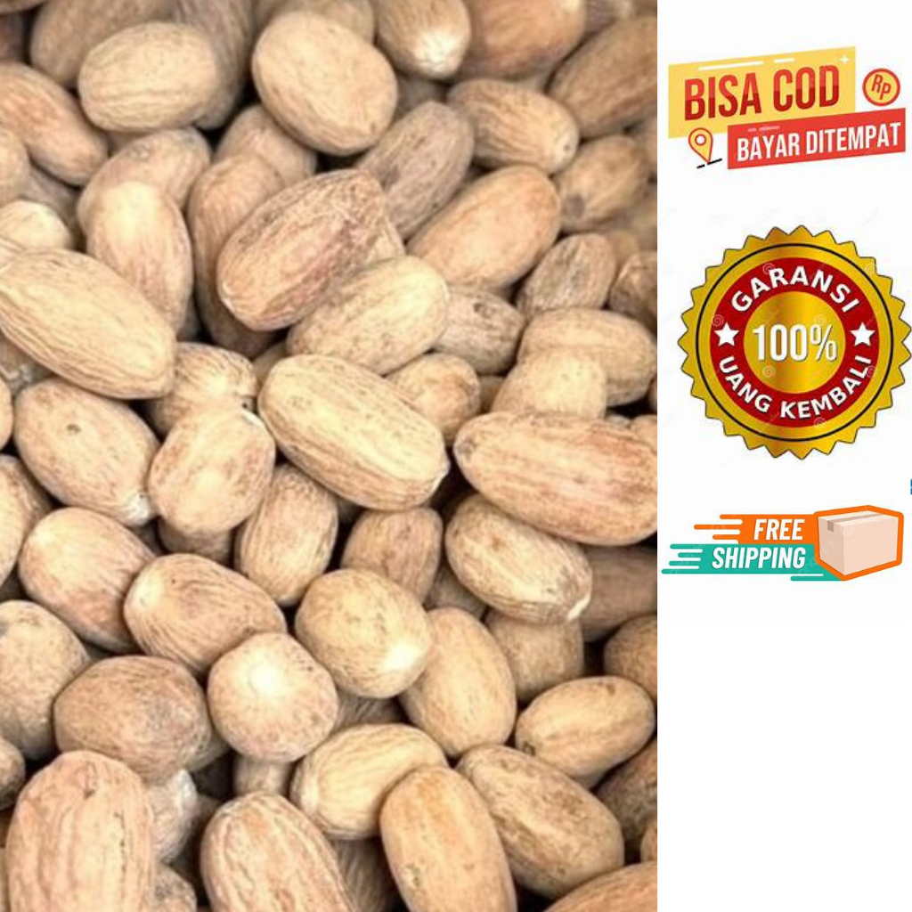 Jual Pala Kupas Lonjong / Pala Kupas / Pala Lonjong / Pala Kupas ...