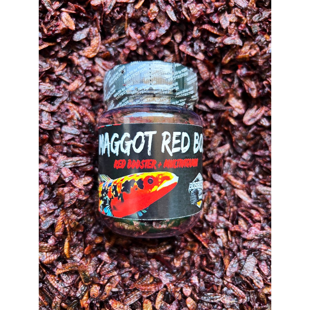 Jual MAGGOT RED (MERAH) @BOS BOS QU GRADE A+ FREE STIKER ( NEW FORMULA ...