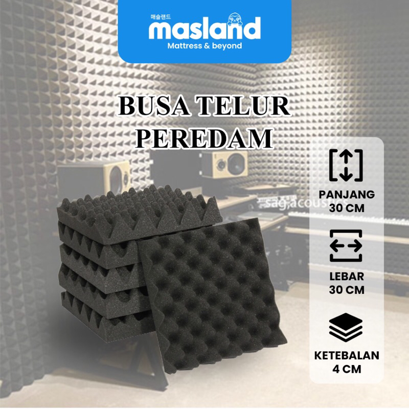 Jual Busa telur peredam suara ruangan tebal 30x30 cm | Shopee Indonesia
