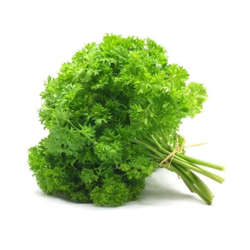 Jual Daun Parsley Paterseli Sayur Parseli 100gr | Shopee Indonesia