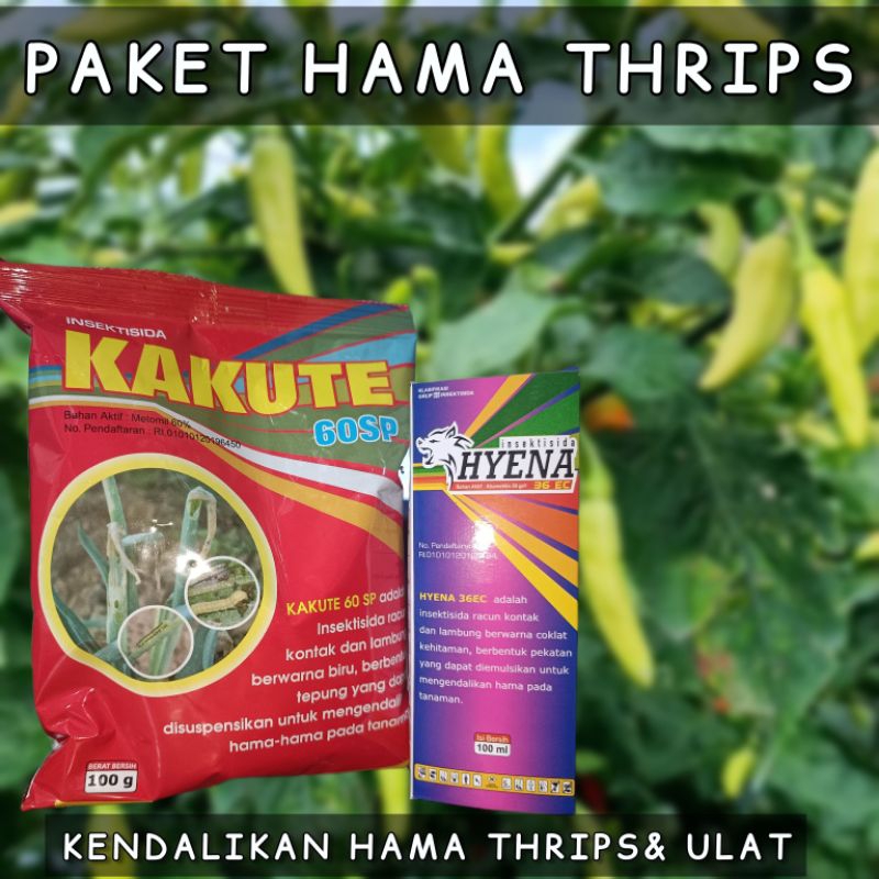 Jual HAMA THRIPS DAN KUTU KEBUL HYENA 100 ML& KAKUTE 100 GRM | Shopee ...