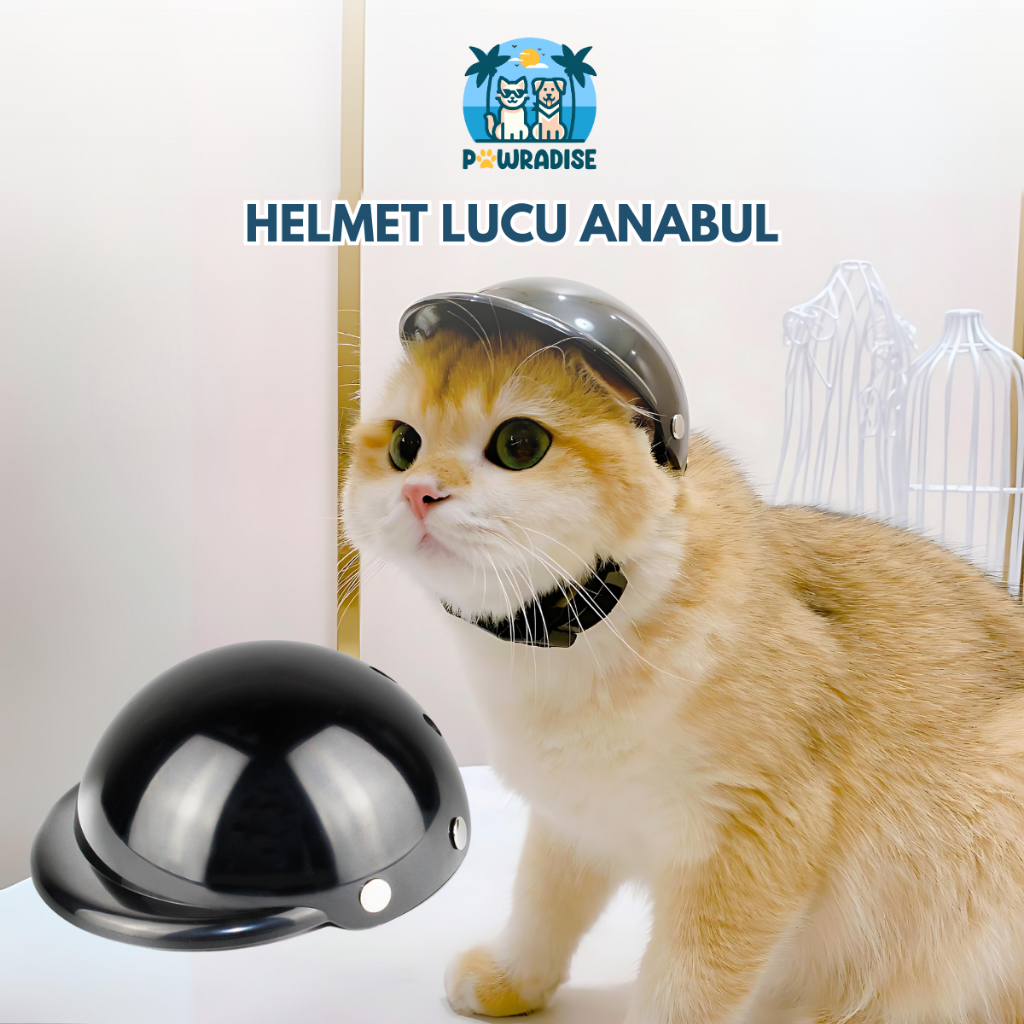 Jual Helm Anjing Kucing - Pet Helmet Safety - Helm Hewan Peliharaan ...