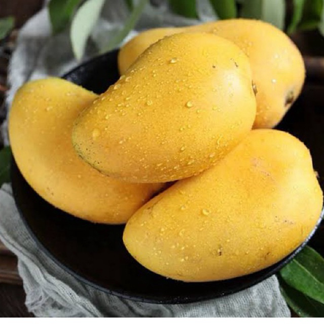 Jual Mangga Thailand Namdokmai | Mangga Susu Thailand 1 Kg | Shopee ...