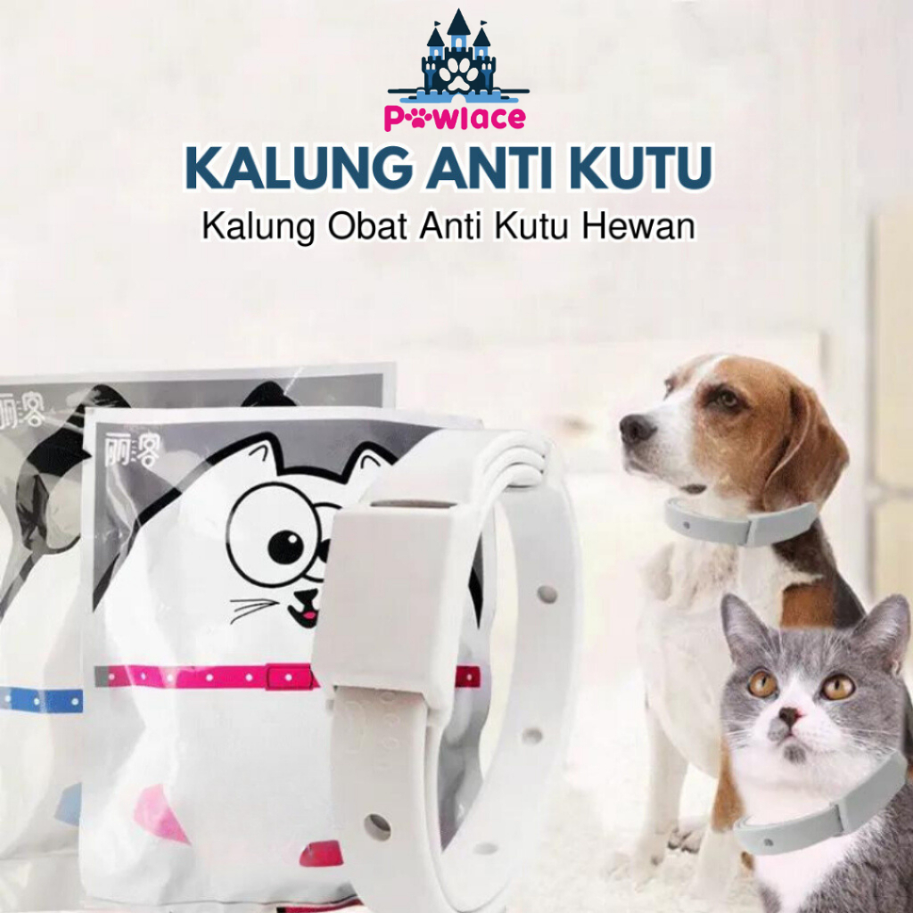Jual KALUNG ANTI KUTU KUCING - ANJING | Kalung Obat Anti Kutu Kucing ...