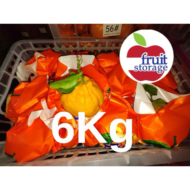 Jual Jeruk Dekopon Papagan Sumo Chunjian Ponkam Premium Giftpack Gift ...