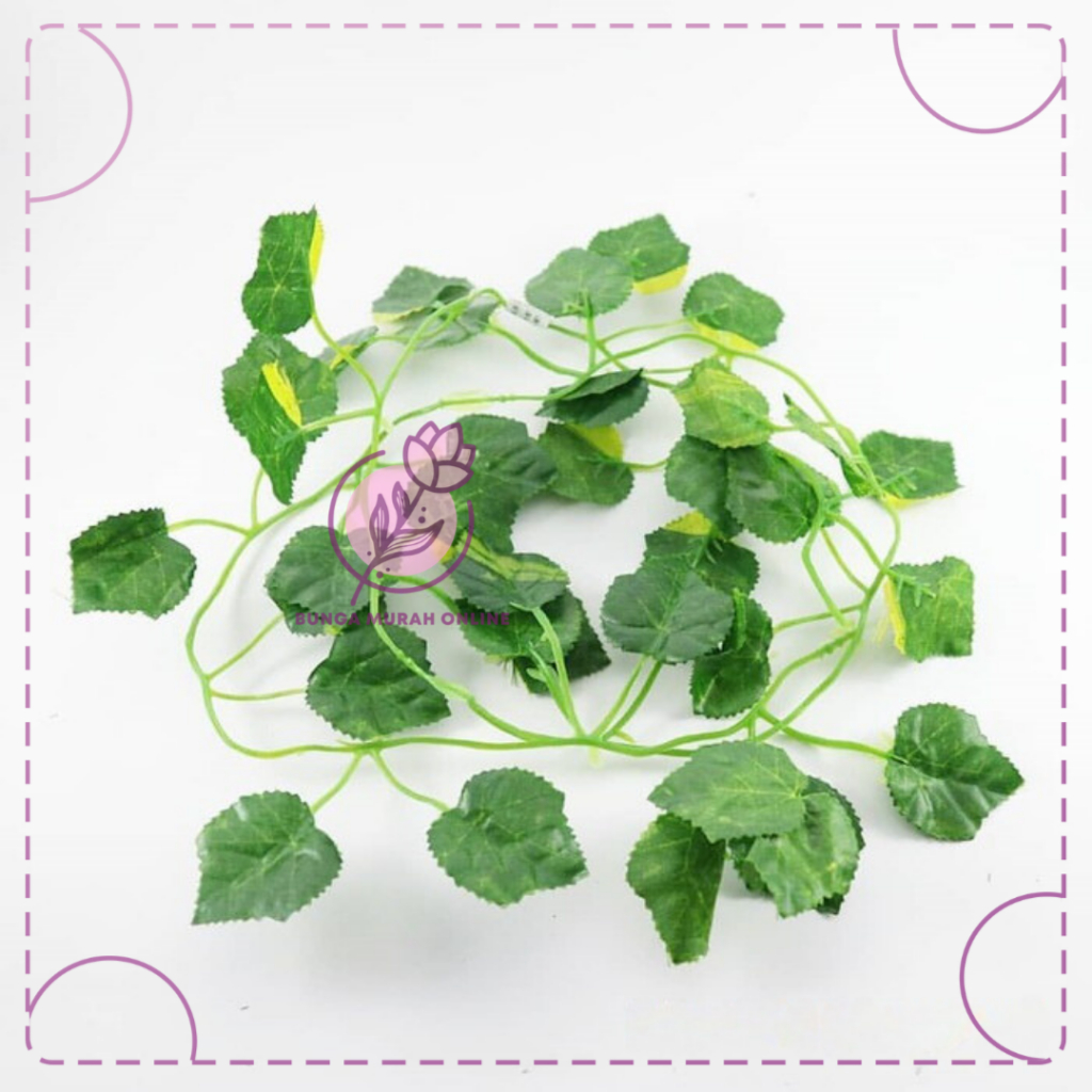 Jual Daun Rambat Anggur Kecil 2M Hijau | Shopee Indonesia
