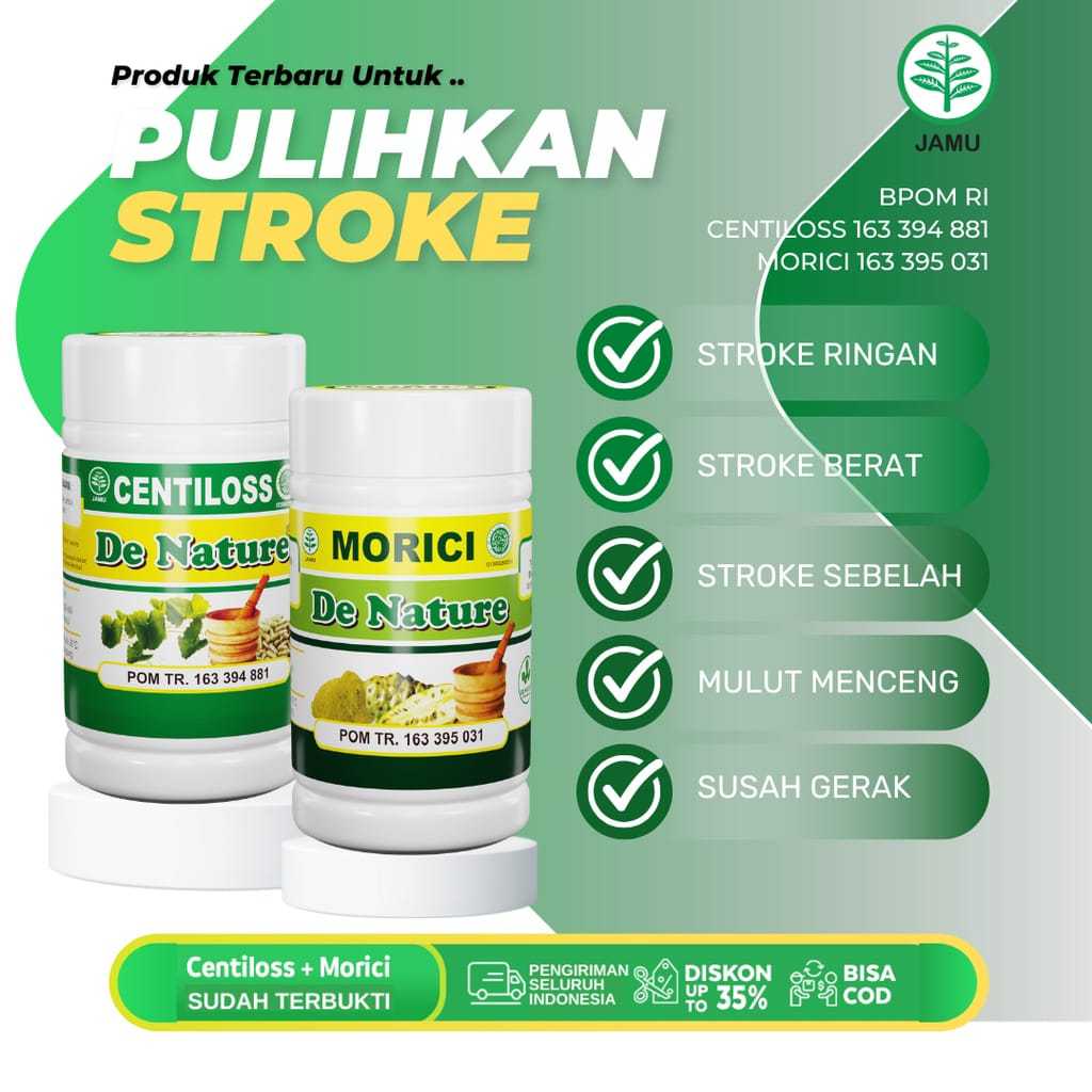 Jual Obat Herbal Stroke Ringan Hingga Berat Struk Iskemik Hemoragik ...
