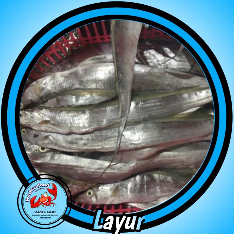 Jual IKAN LAYUR FRESH 1 KG | Shopee Indonesia