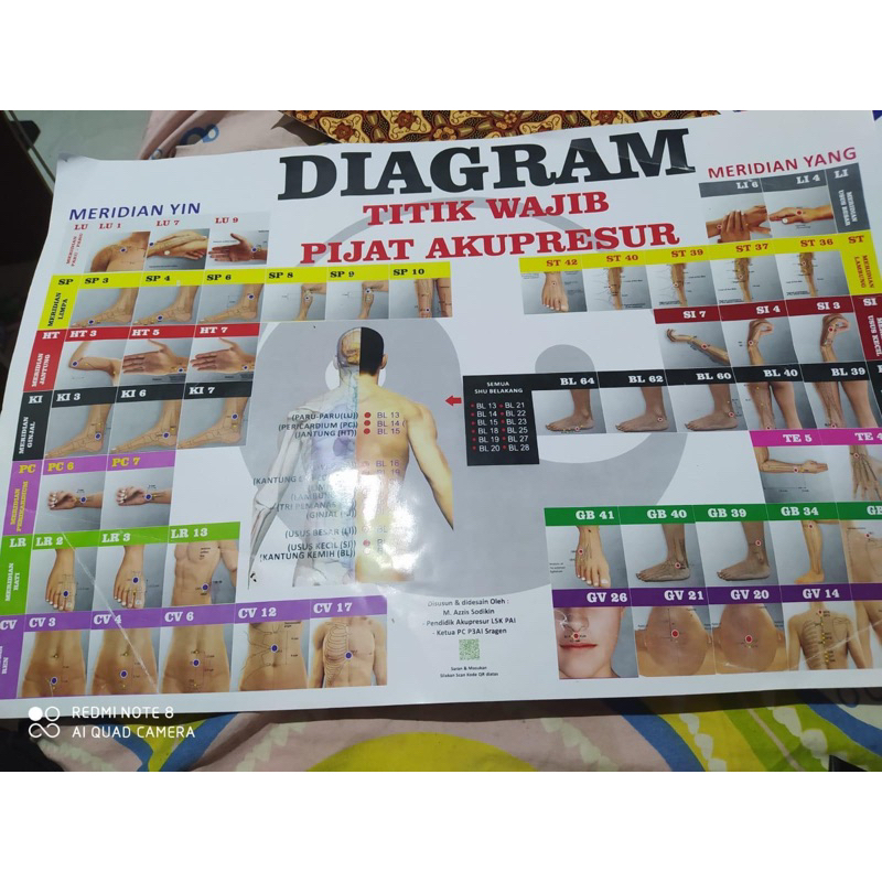 Jual Poster Diagram Titik Wajib Akupresur by Sifuherb.shop | Shopee ...