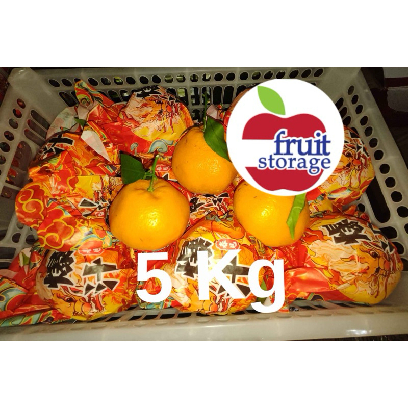 Jual Jeruk Dekopon Papagan Sumo Chunjian Ponkam Premium Giftpack Gift ...