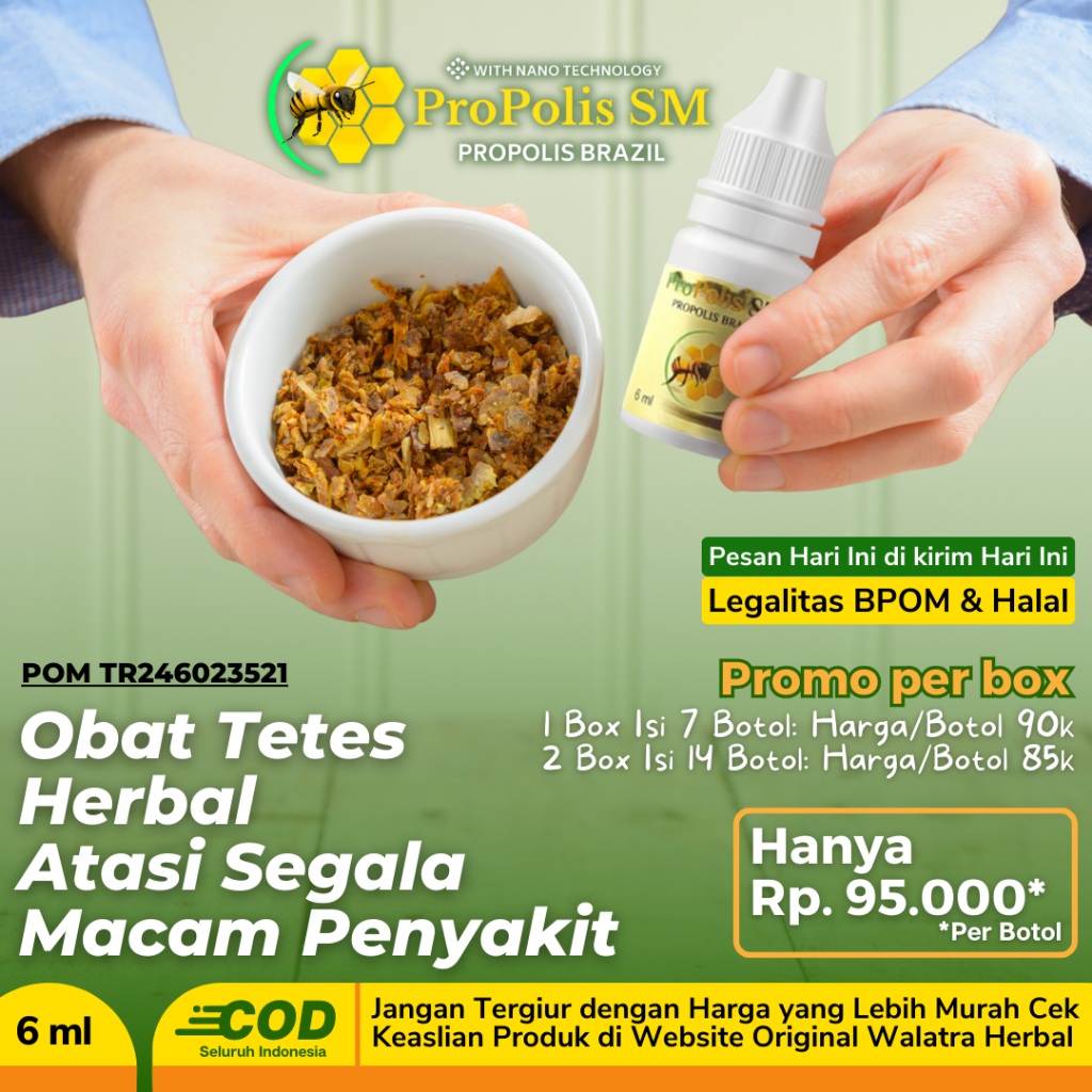 Jual Propolis SM Vitamin Herbal Rambut Beruban | Shopee Indonesia
