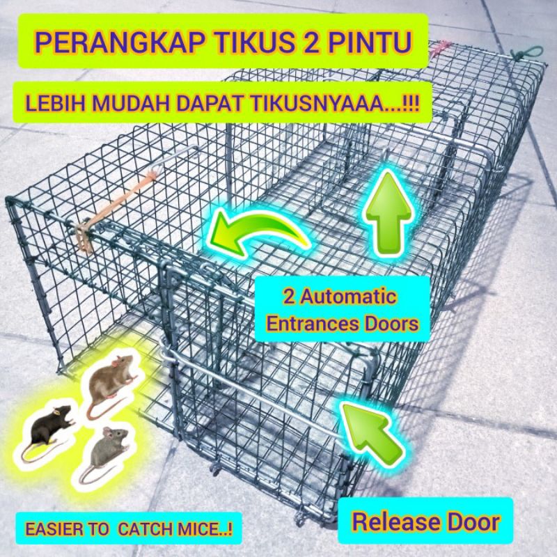 Jual Perangkap/ Jebakan/ Trap Tikus Massal 2 Pintu Masuk, Lebih Efektif ...