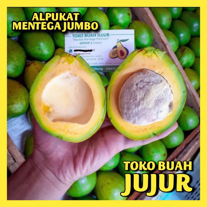 Jual ALPUKAT MENTEGA JUMBO | Shopee Indonesia