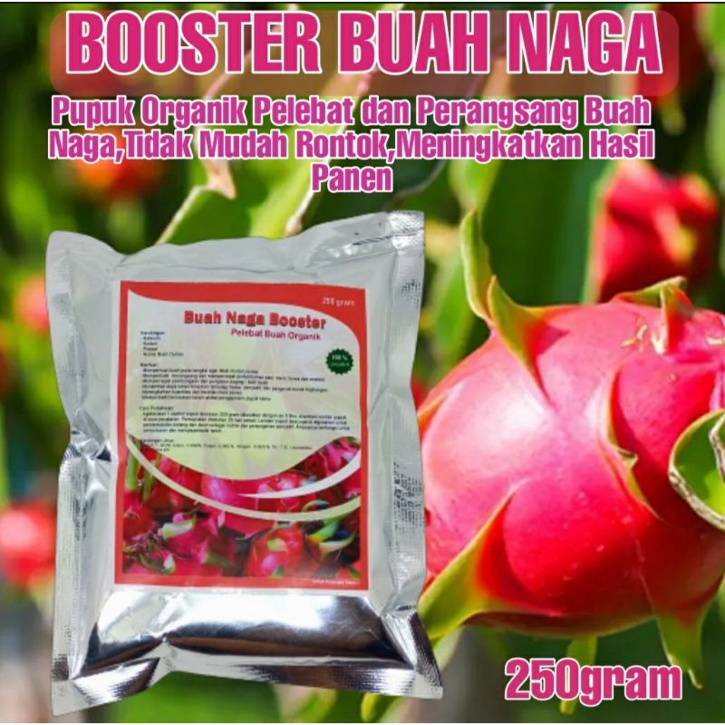 Jual Pupuk pelebat buah naga serta penyubur tanaman buah naga,booster buah naga 100% organik ...