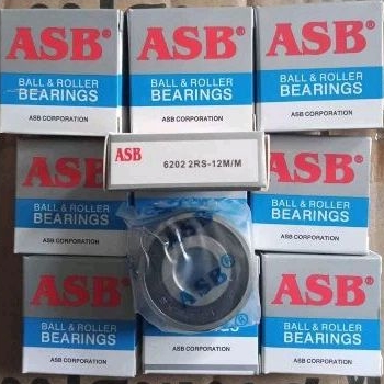 Jual BEARING / KLAHER 6202 ASB as 12" | Shopee Indonesia