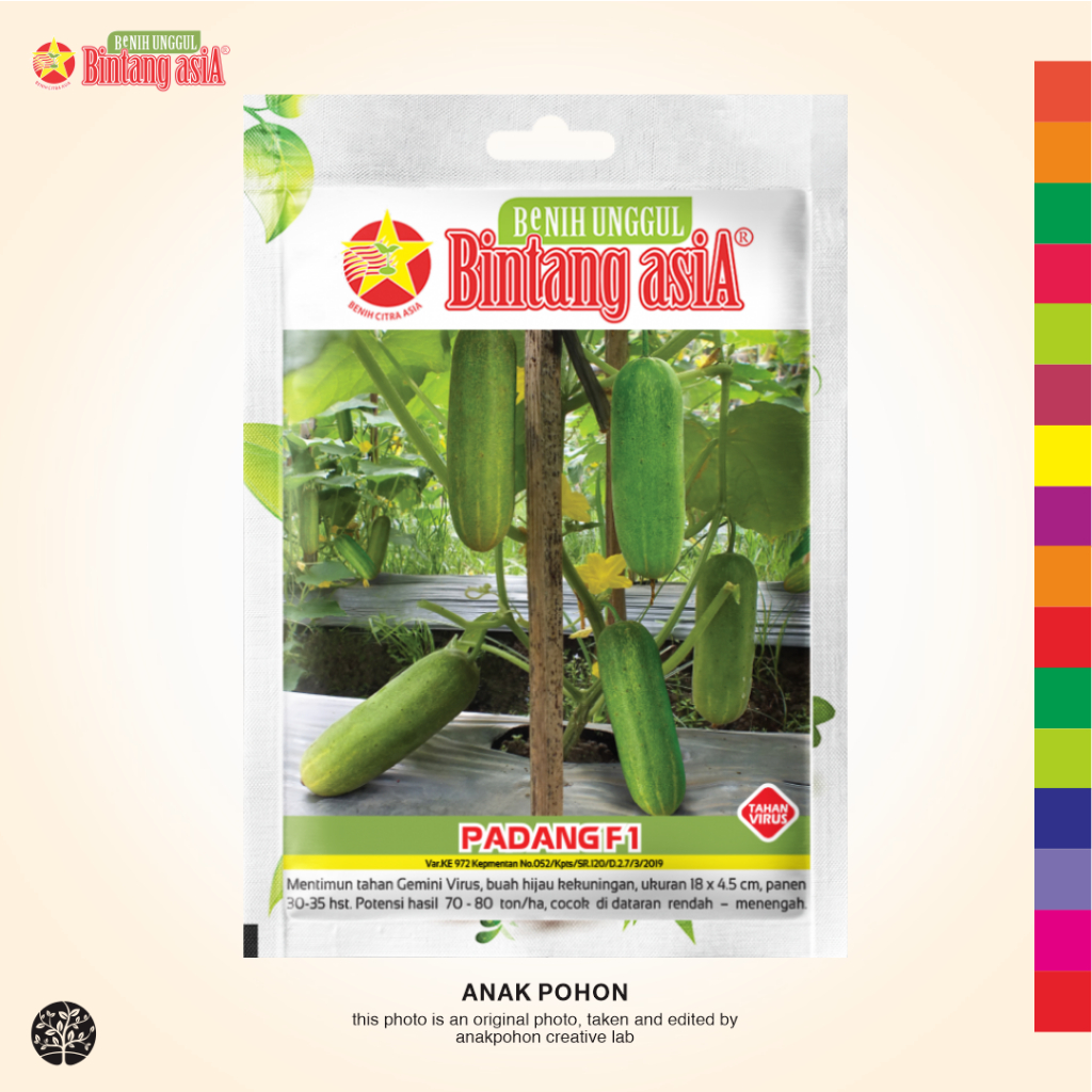 Jual (1 PACK) Benih Mentimun PADANG F1 Timun Rujak Buah Lebat Tahan ...