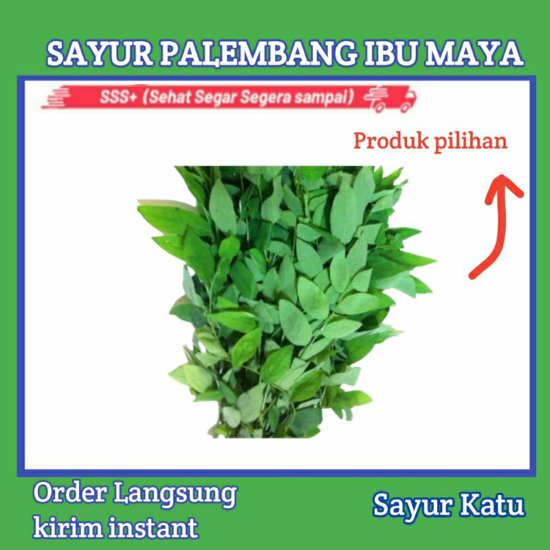 Jual Sayur Daun Katuk Katu Per Ikat - Sayur Segar Palembang | Shopee ...