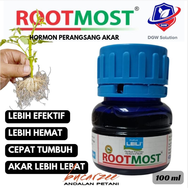 Jual RootMost Hormon Perangsang Akar Stek dan Benih. Lebih Efektif. | Shopee Indonesia